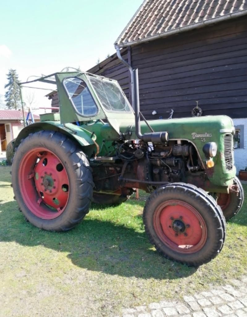 Famulus ,Fortschritt, IFA, RS 14/46, Traktor, Schlepper – agritec24
